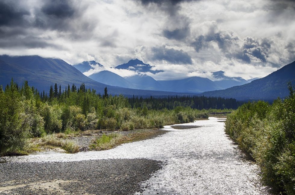 Når nordlyset møder kortbordet i Yukons fortællinger | Yukon Tours